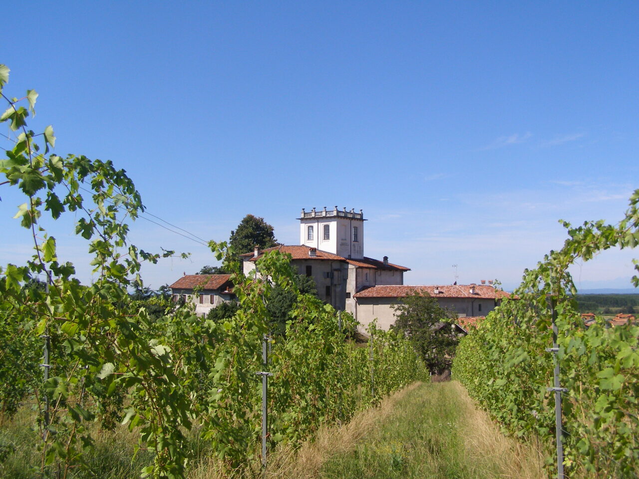 Proeven van Piemonte: de smakelijkste tips in de Italiaanse regio ...